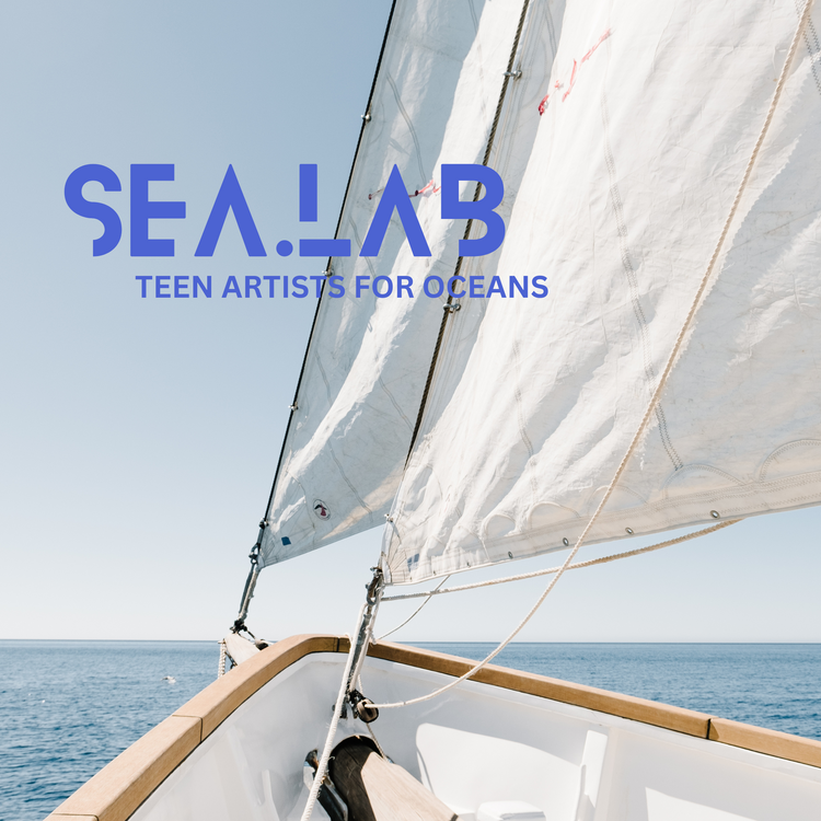 Printed Oceans: A Quilted Narrative of Marine Debris – Sea Lab Science