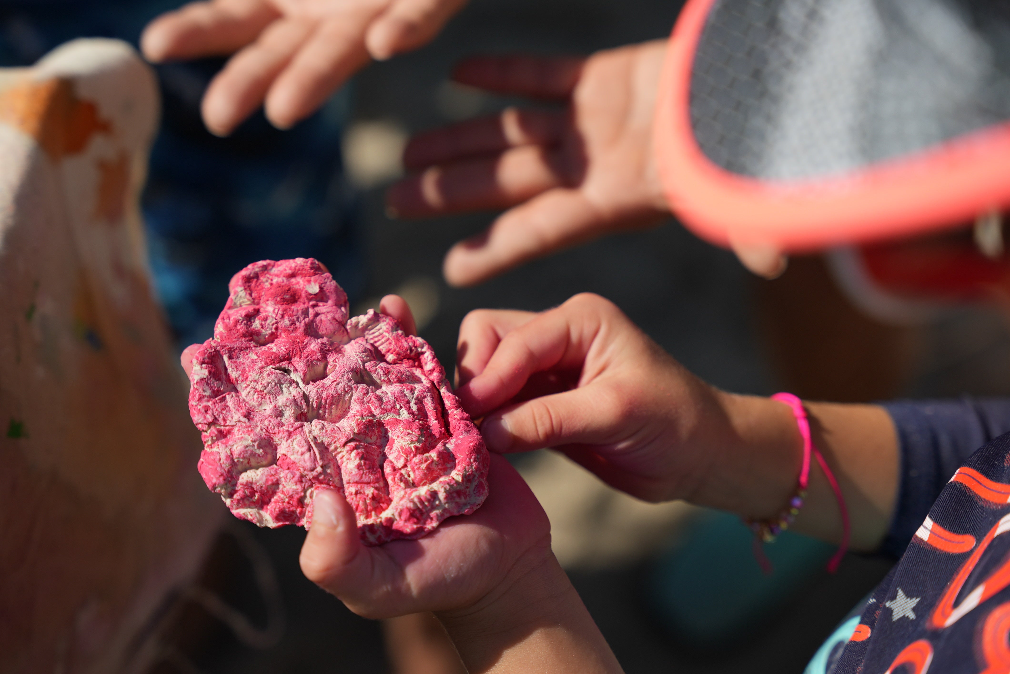 Sea Lab – Sea Lab Science