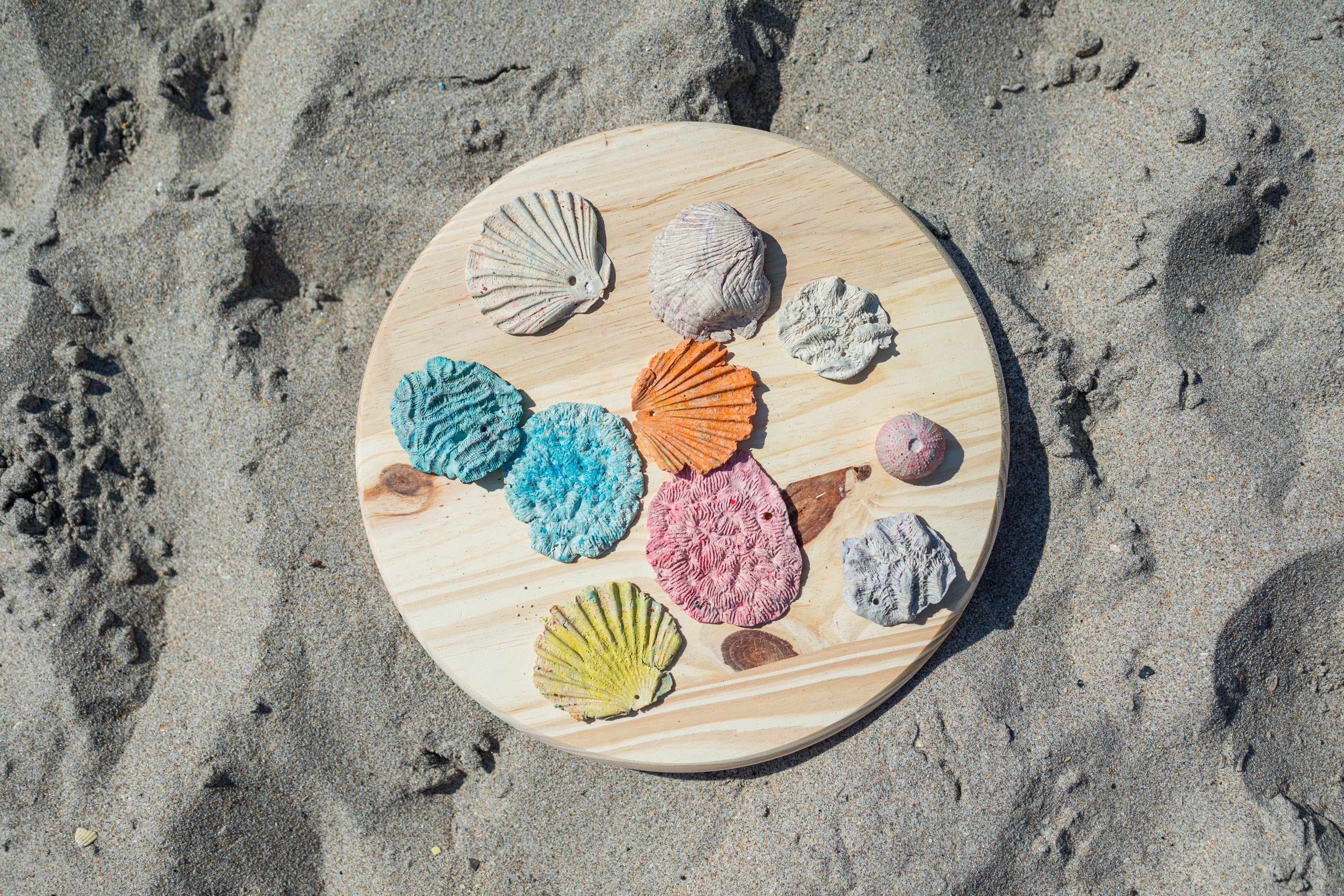 Sea Lab – Sea Lab Science